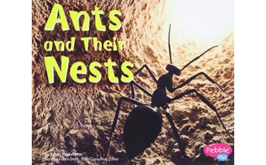 Ants and Their Nests