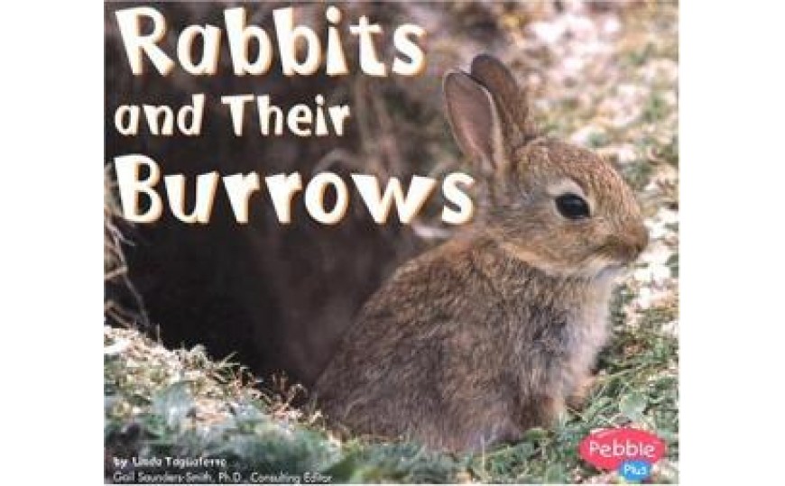 Rabbits and Their Burrows|9780736823845