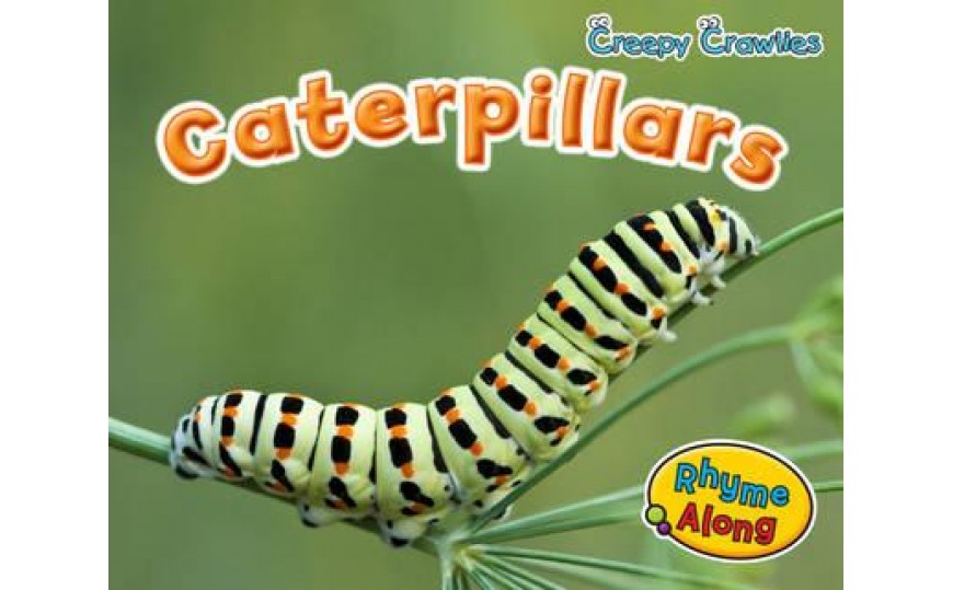Caterpillars (Early Years: Creepy Crawlies) Hardback|9781406241396