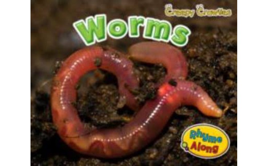 Worms (Rhyme Along: Creepy Crawlies) Hardback|9781406241426
