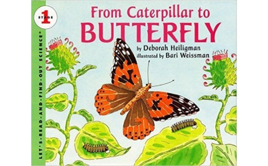 From Caterpillar to Butterfly by Deborah Heiligman |9780064451291