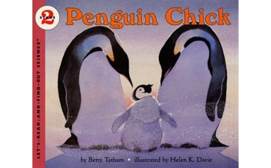 Penguin Chick by Betty Tatham and Helen K. Davie | 9780064452069