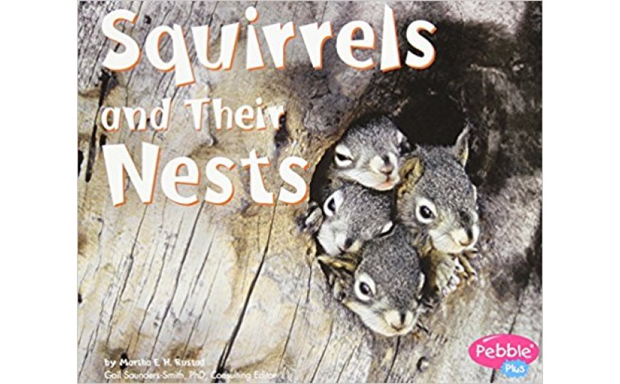 Squirrels and Their Nests |9780736825856