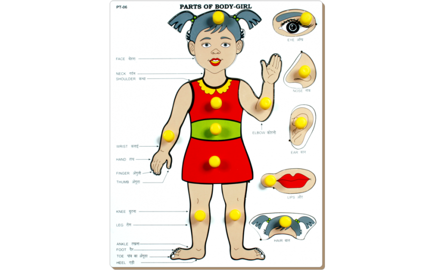 PT06 Little Genius Parts Of Body-Girl